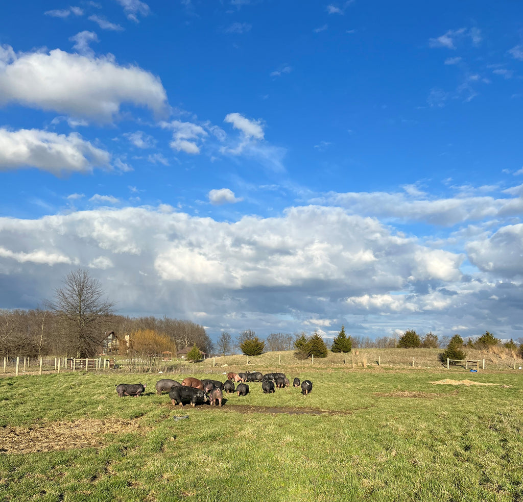 Green Washing – Covey Rise Farms