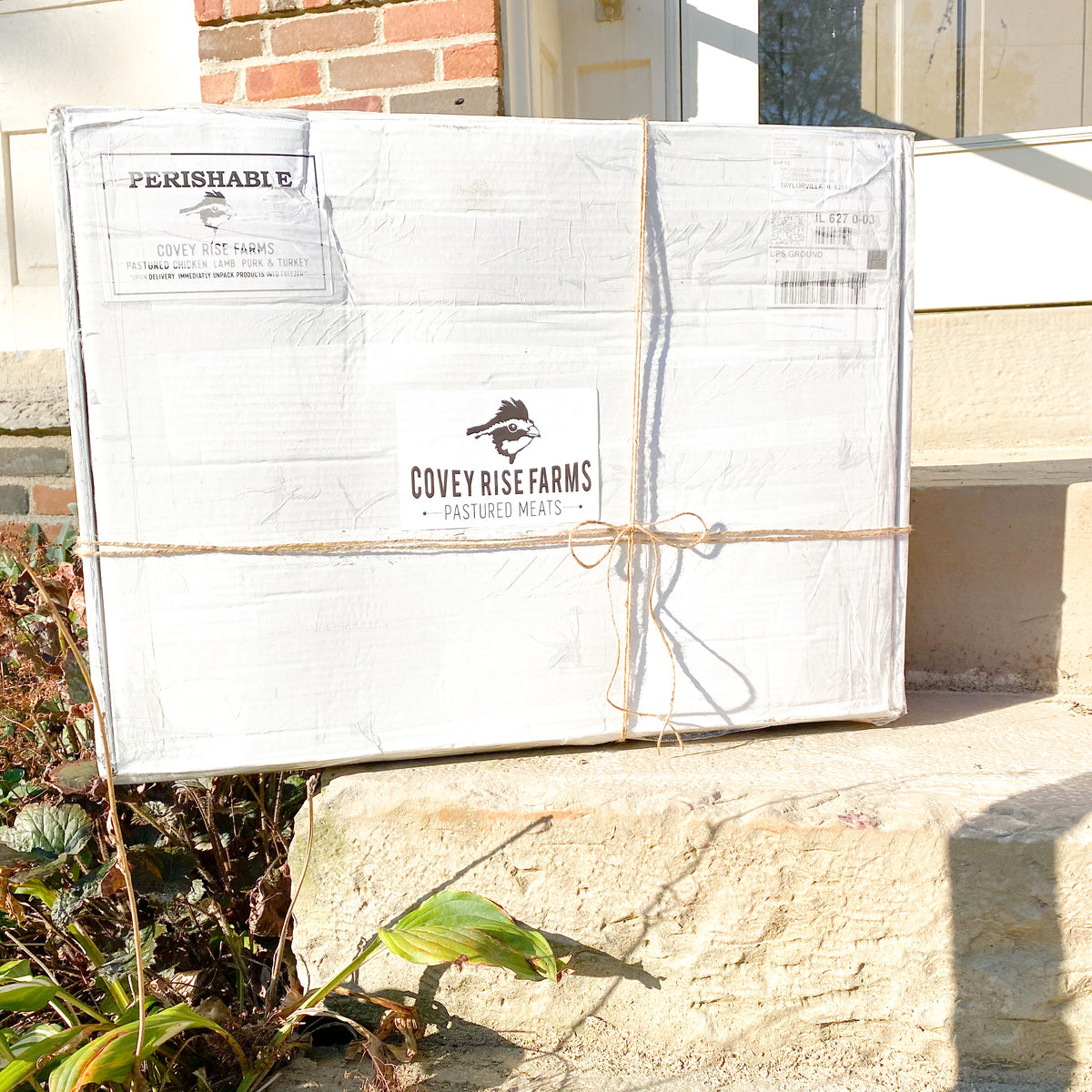 Butcher Box or Covey Club? – Covey Rise Farms